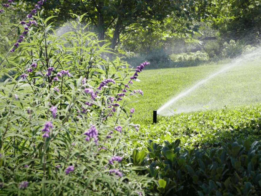 Year-Round Sprinkler System Maintenance Checklist for Cleveland