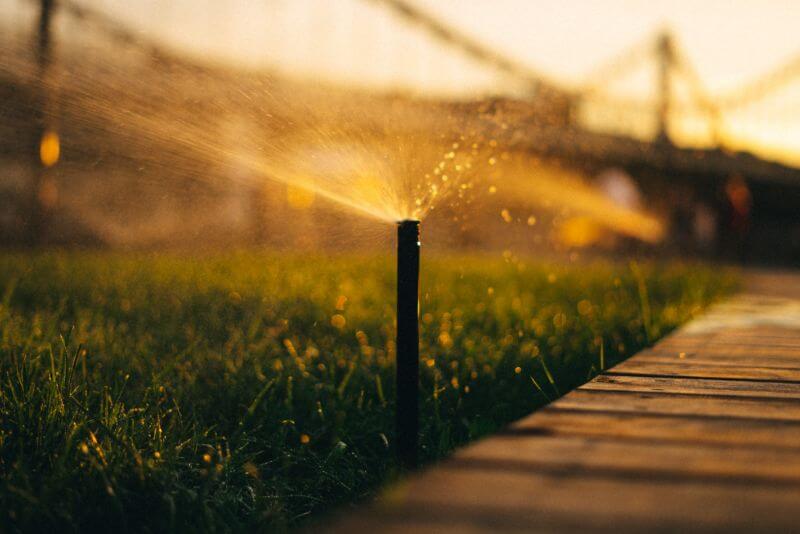 Cost of Lawn Irrigation Services: A Simple 2025 Guide