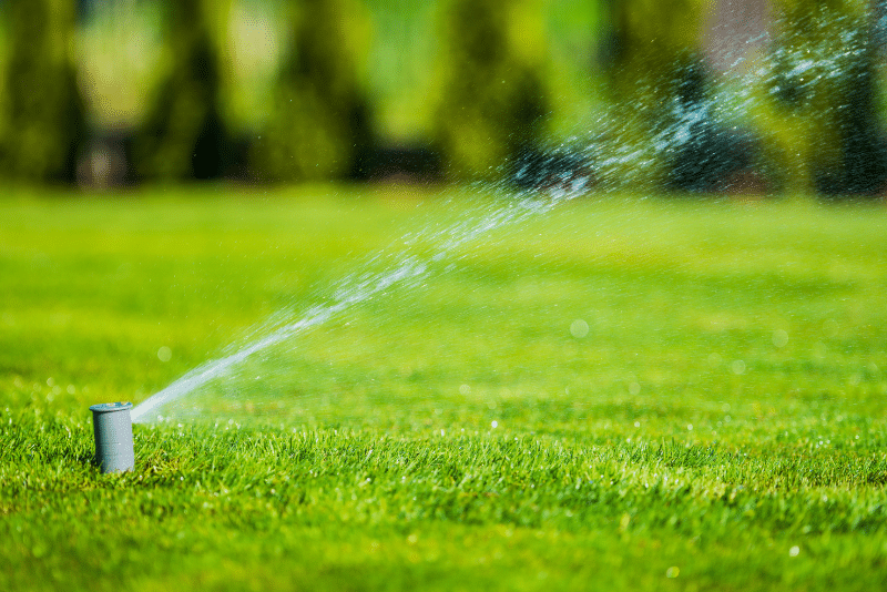 Average Water Usage for Sprinkler Systems: Cleveland Guide