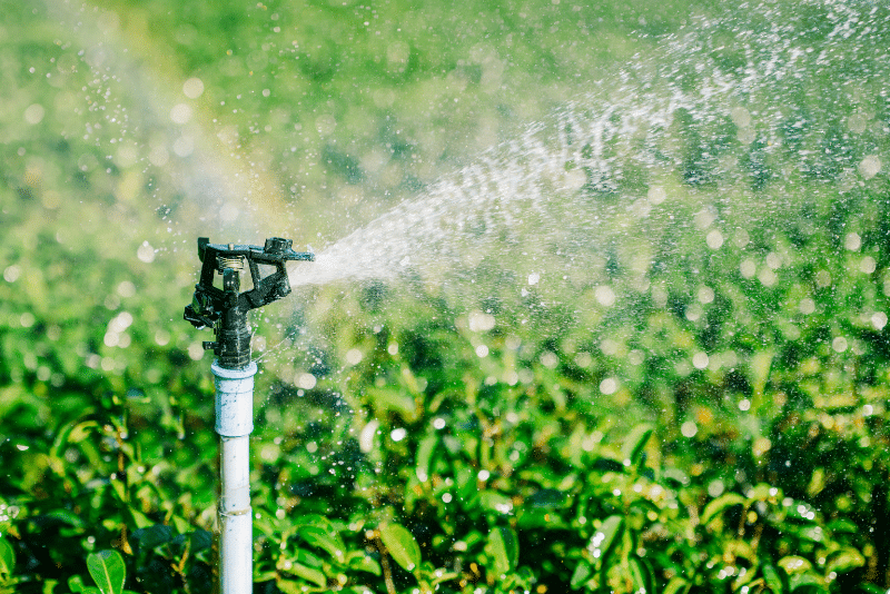 Seasonal Sprinkler System Maintenance Tips