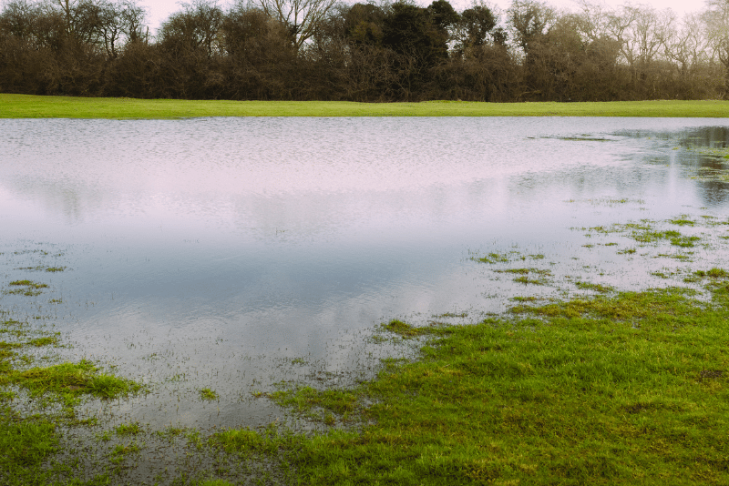 How Poor Yard Drainage Impacts Sprinkler Systems in Cleveland